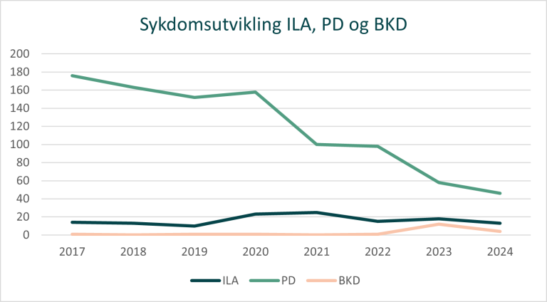 God fiskehelse og fiskevelferd | Mattilsynet